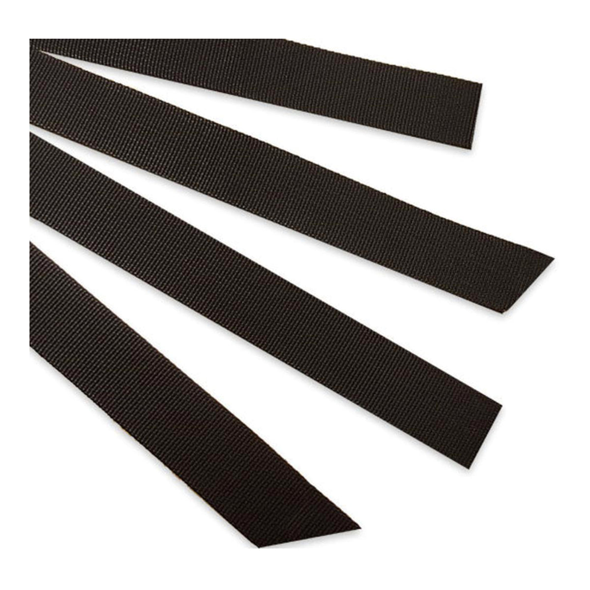 Giant Loop 1" Nylon Webbing - 72" Long – Auto Parts Guys